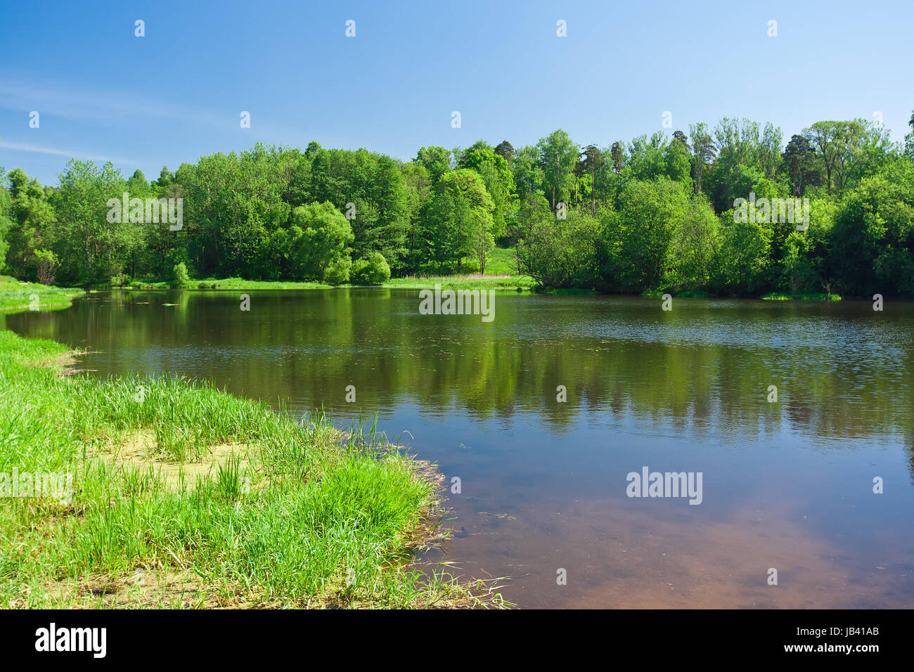 Beautiful photo of green trees and meadows on riverside Stock Photo - Alamy