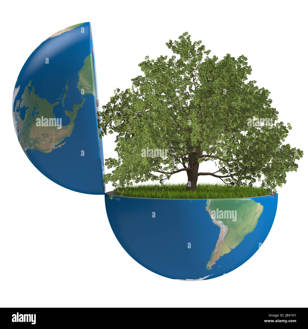 Oak tree growing inside opened planet Earth, isolated on white ...