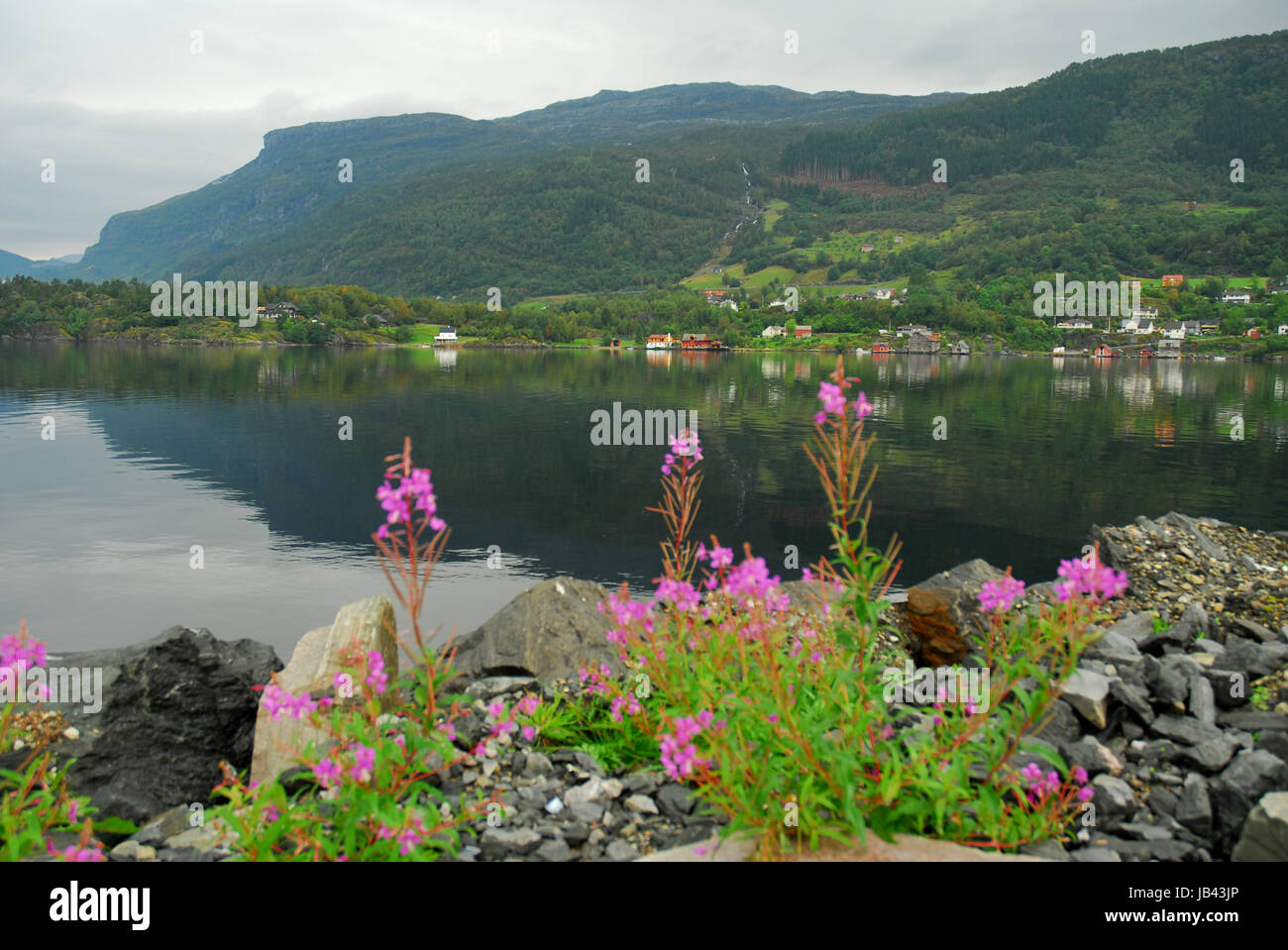 Tree trees norway mirroring hi-res stock photography and images - Alamy