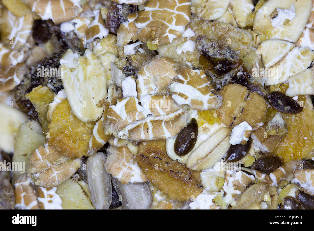 Close up picture of a musli mix Stock Photo - Alamy