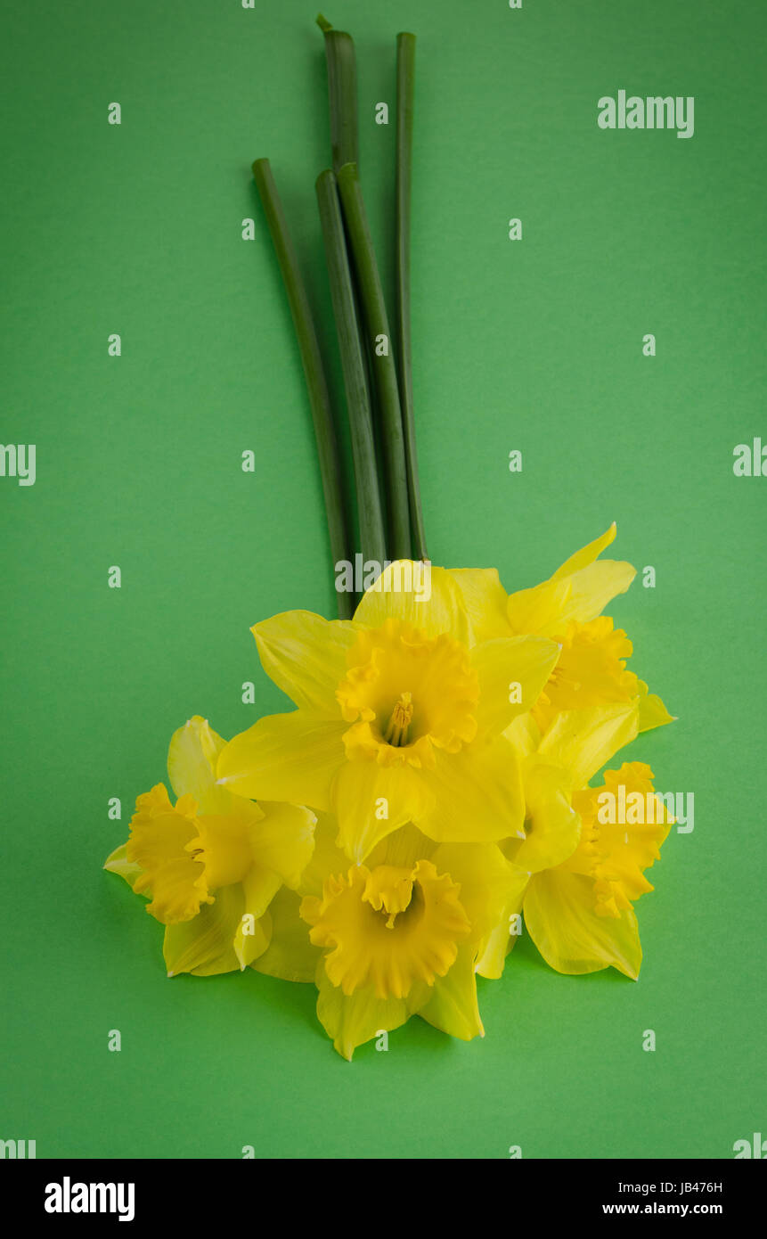 Yellow jonquil flowers on green background Stock Photo - Alamy