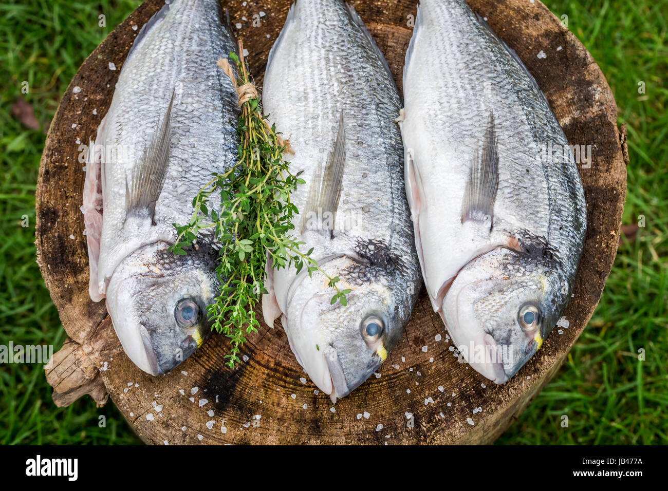 Preparing whole sea bream with herbs for grill Stock Photo - Alamy