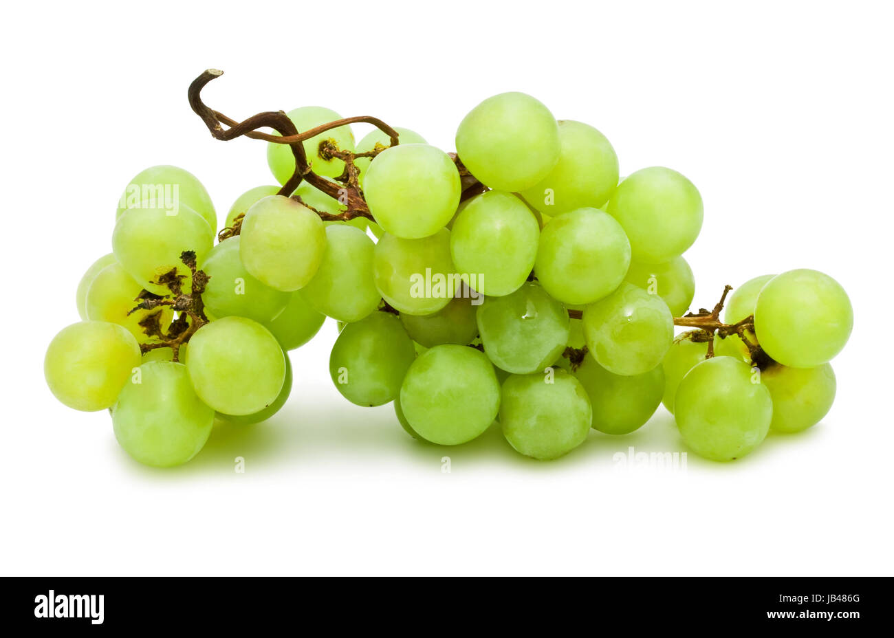 Branch of grapes isolated on white background Stock Photo - Alamy