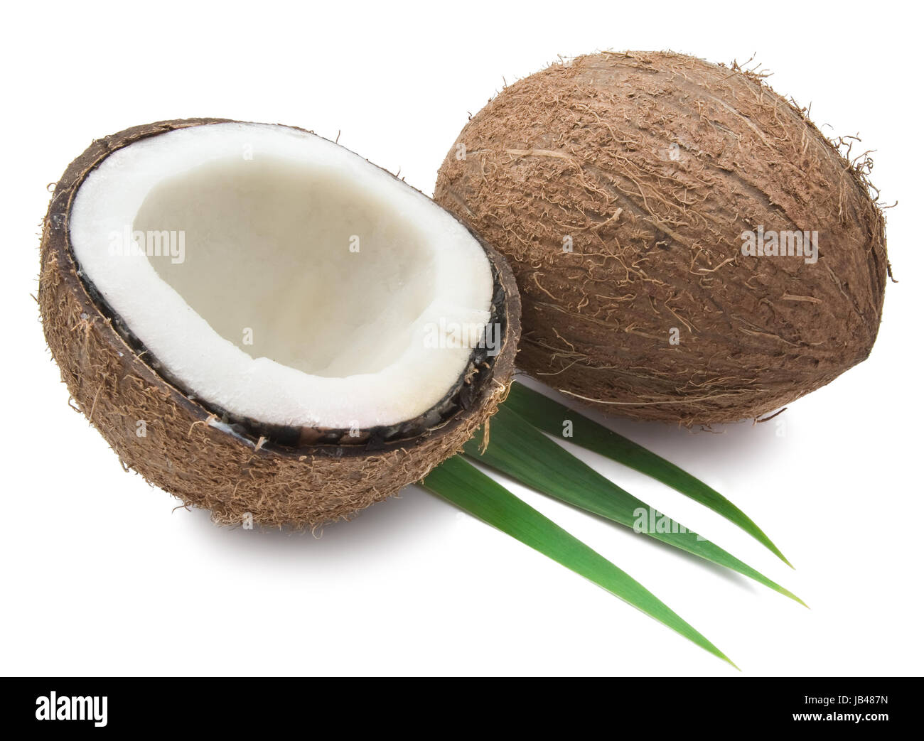Perfect fresh coconut isolated on white background Stock Photo - Alamy