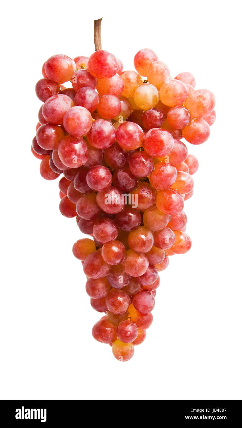 Branch of grapes isolated on white background Stock Photo - Alamy