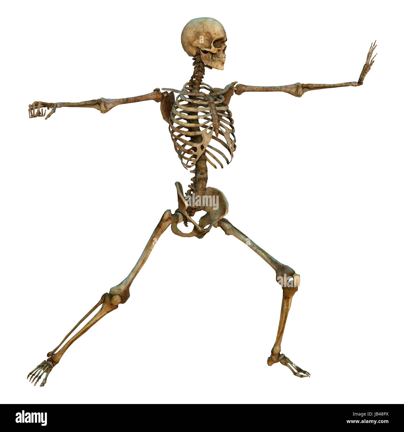 3D digital render of an old human male skeleton isolated on white ...