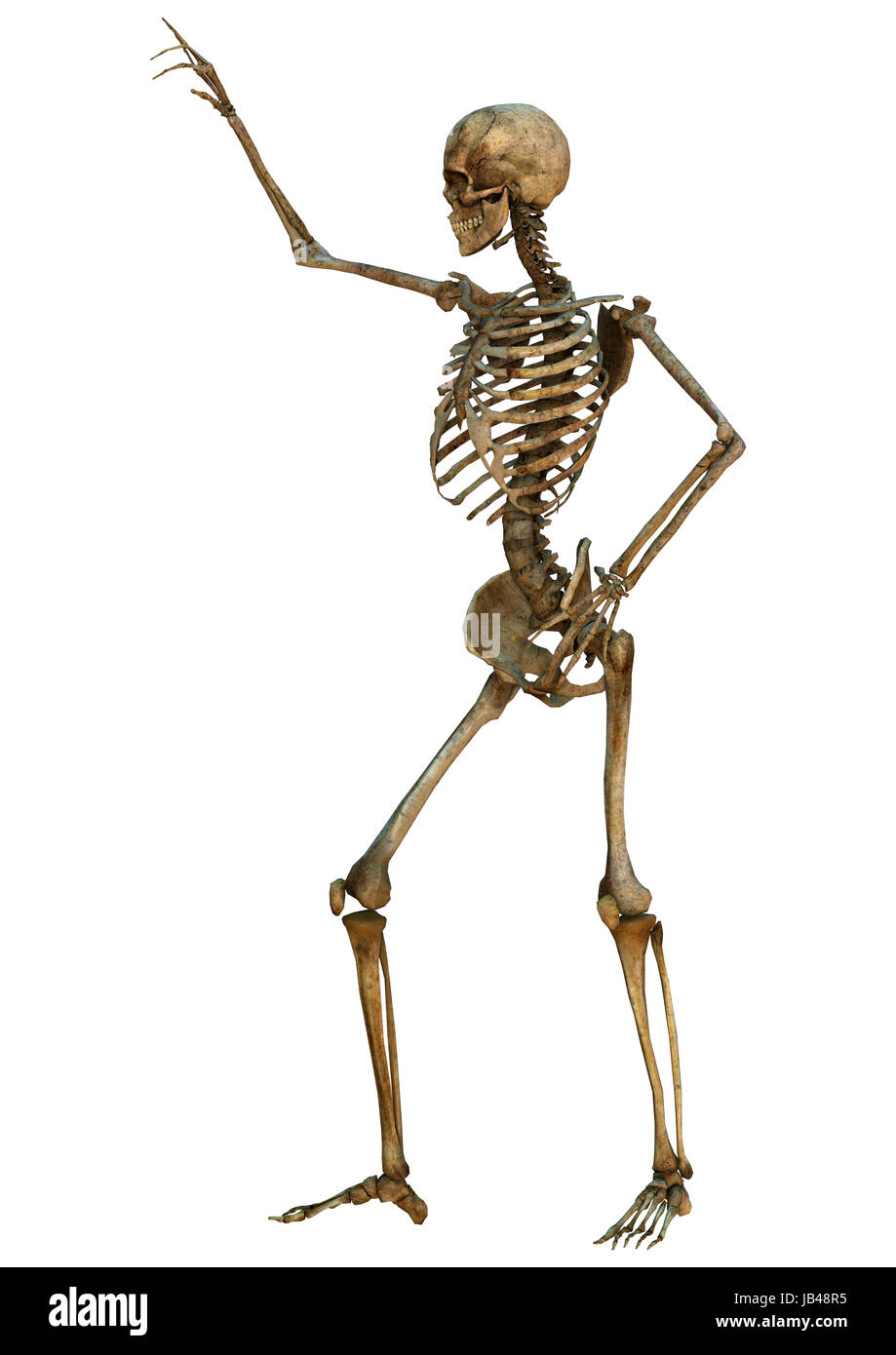 3D digital render of an old human male skeleton isolated on white ...