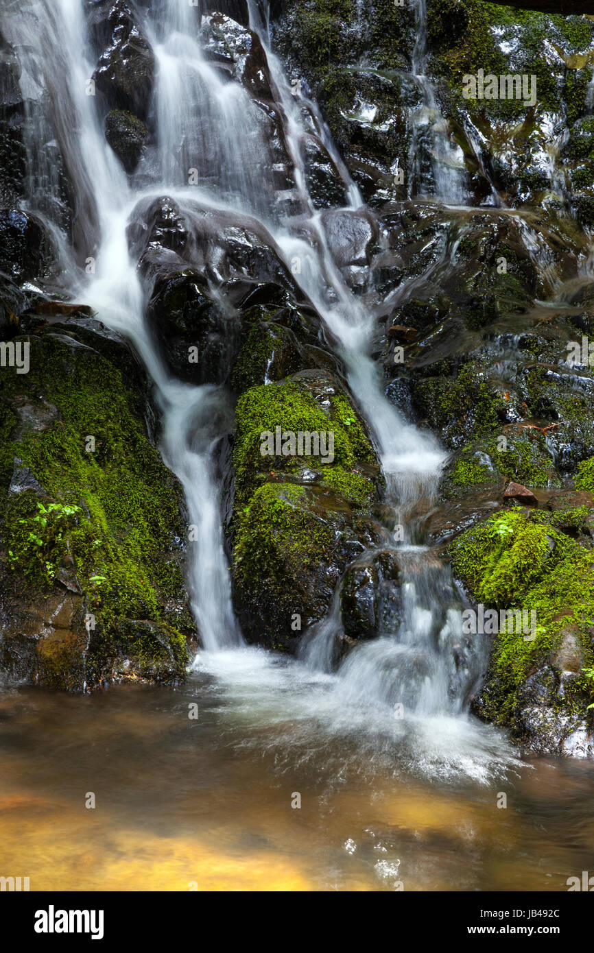 Fern Falls at the end of the Boy Scout Trail in Jedediah Smith Redwoods ...