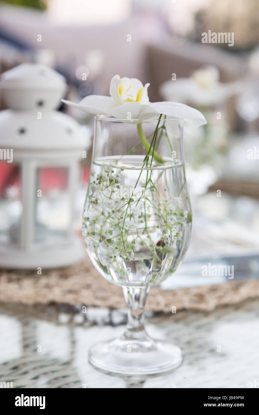 small white flowers in glass for decoration table in interior Stock ...