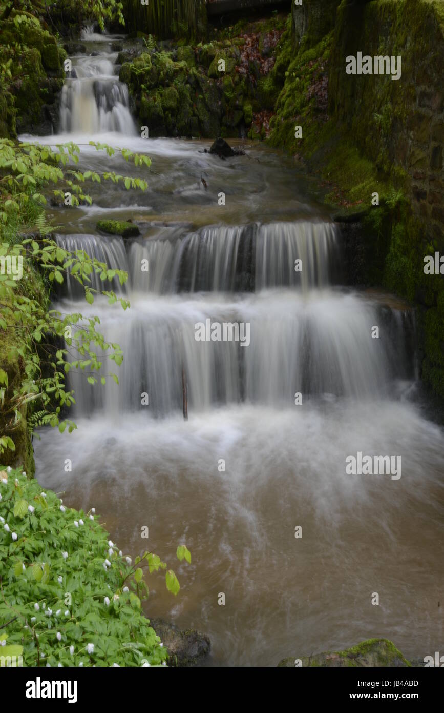bach, wasser, fließen, fließend, frühling, wald, natur, frisch ...
