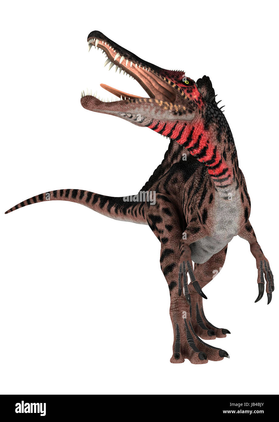 3D digital render of a Cretaceous dinosaur Spinosaurus or spiny lizard ...