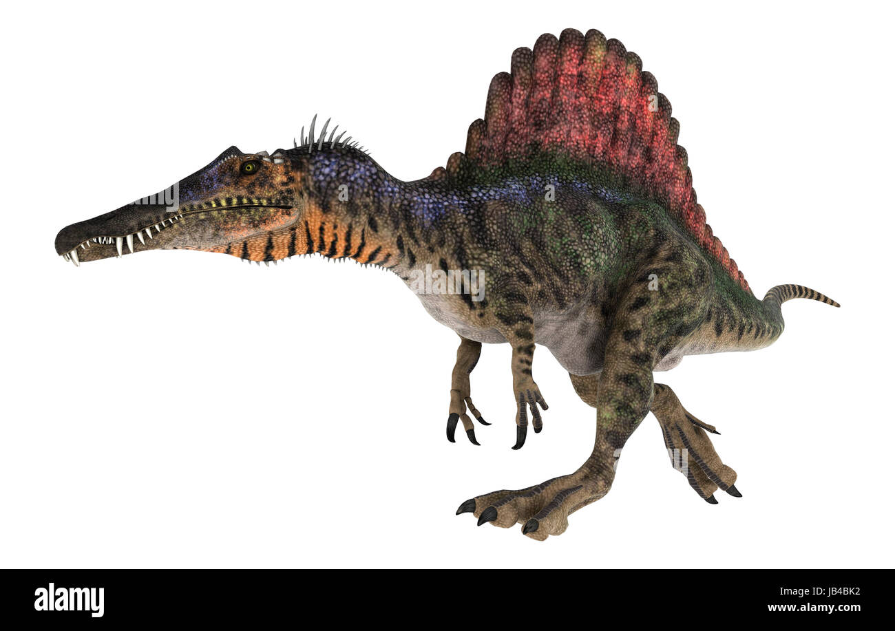 3D digital render of a running Cretaceous dinosaur Spinosaurus or spiny ...