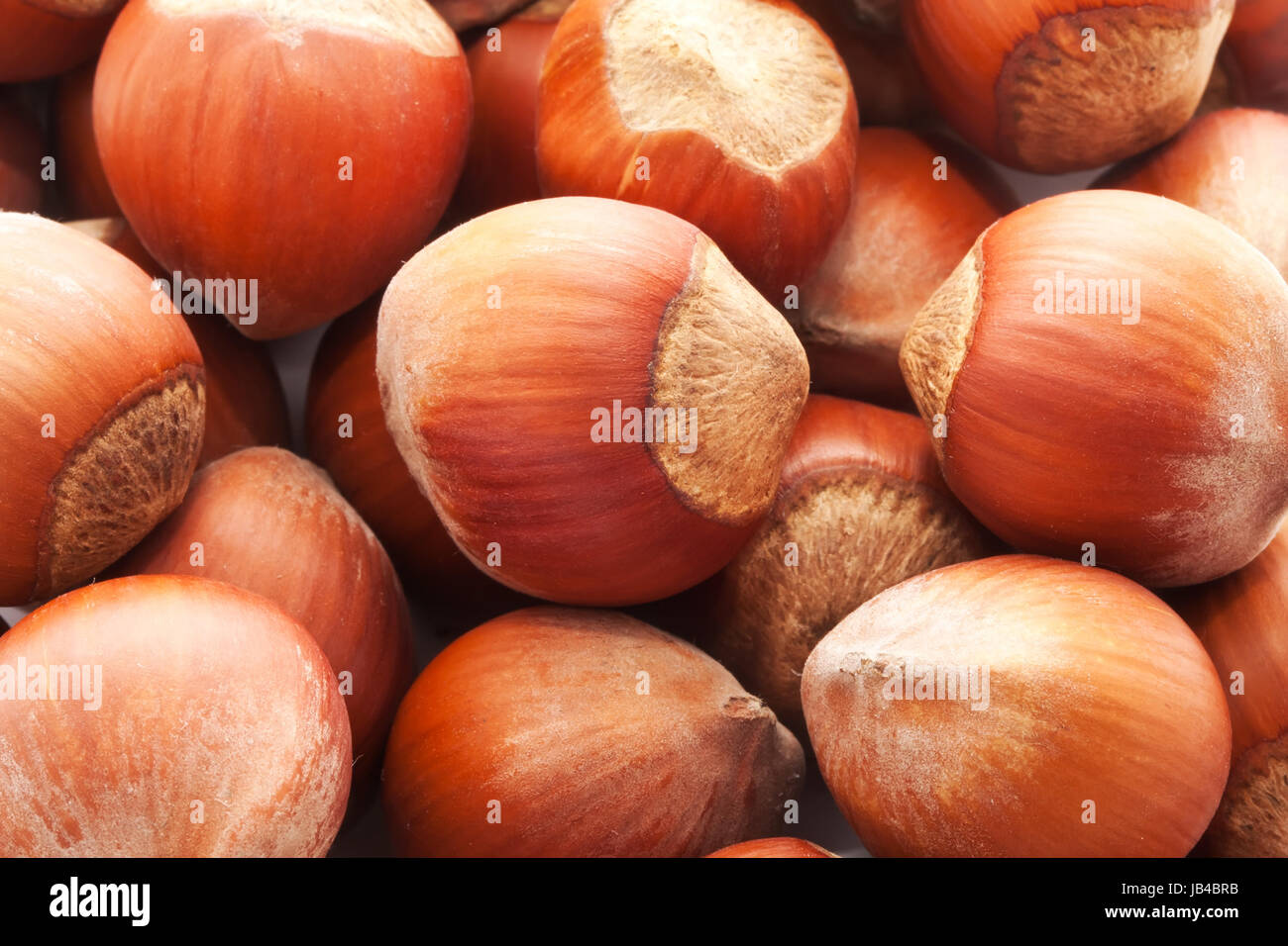 Heap of hazelnuts, filbert nuts making background Stock Photo - Alamy