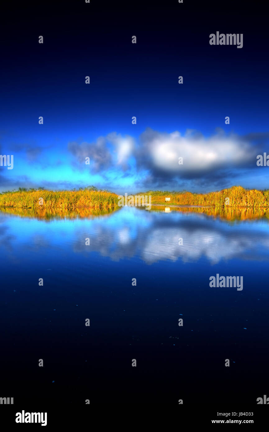 Early morning in everglades hi-res stock photography and images - Alamy