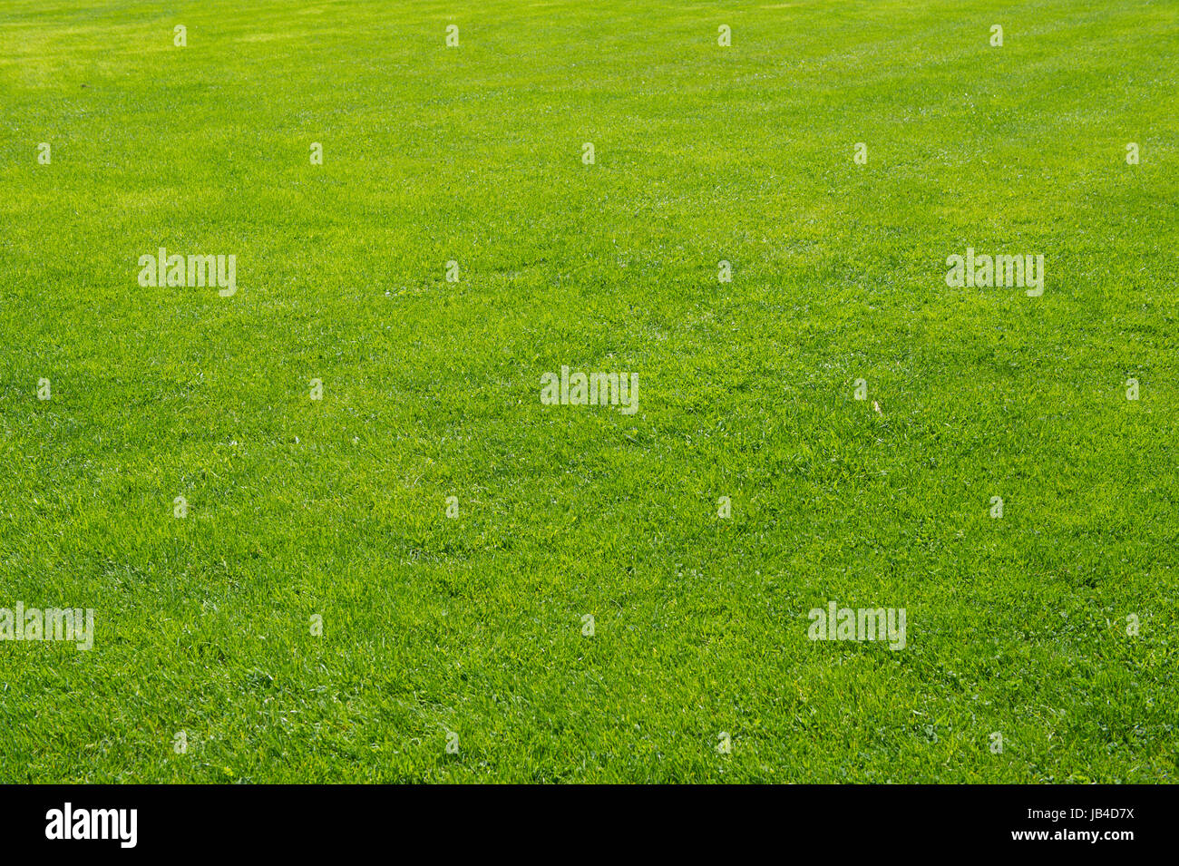 Rasen garten natur hi-res stock photography and images - Alamy
