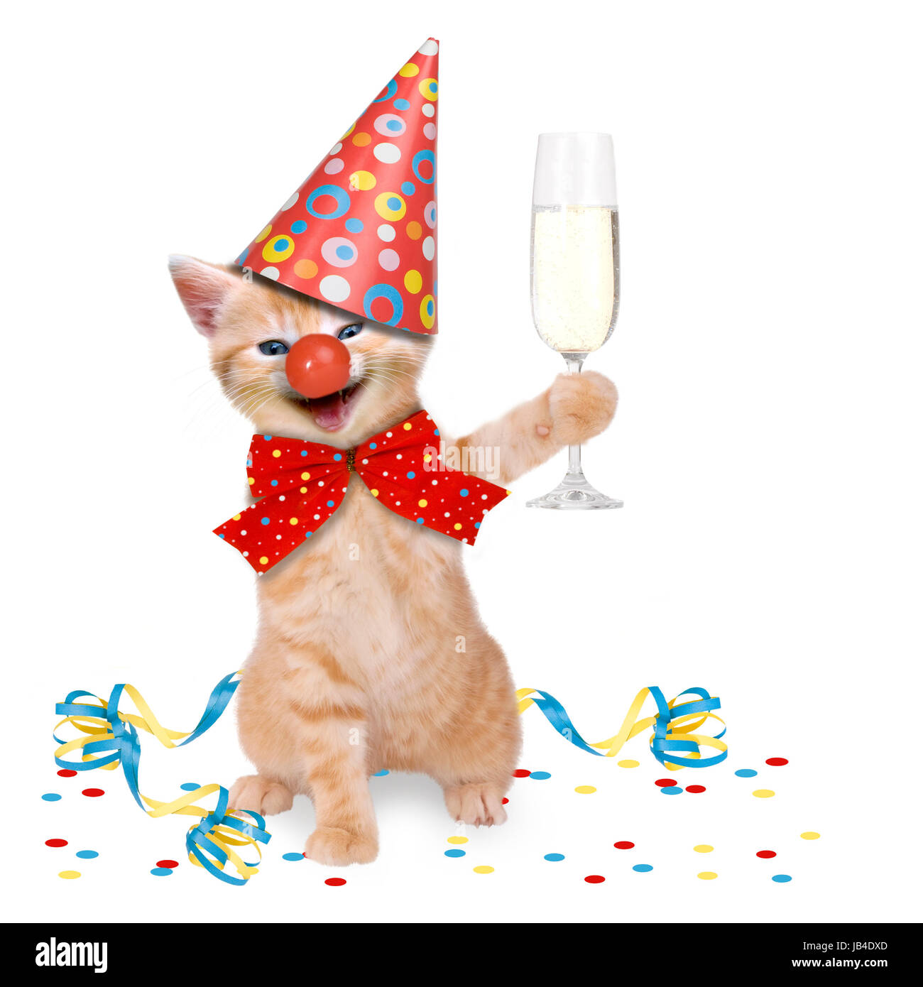 cat carnival / party Stock Photo - Alamy