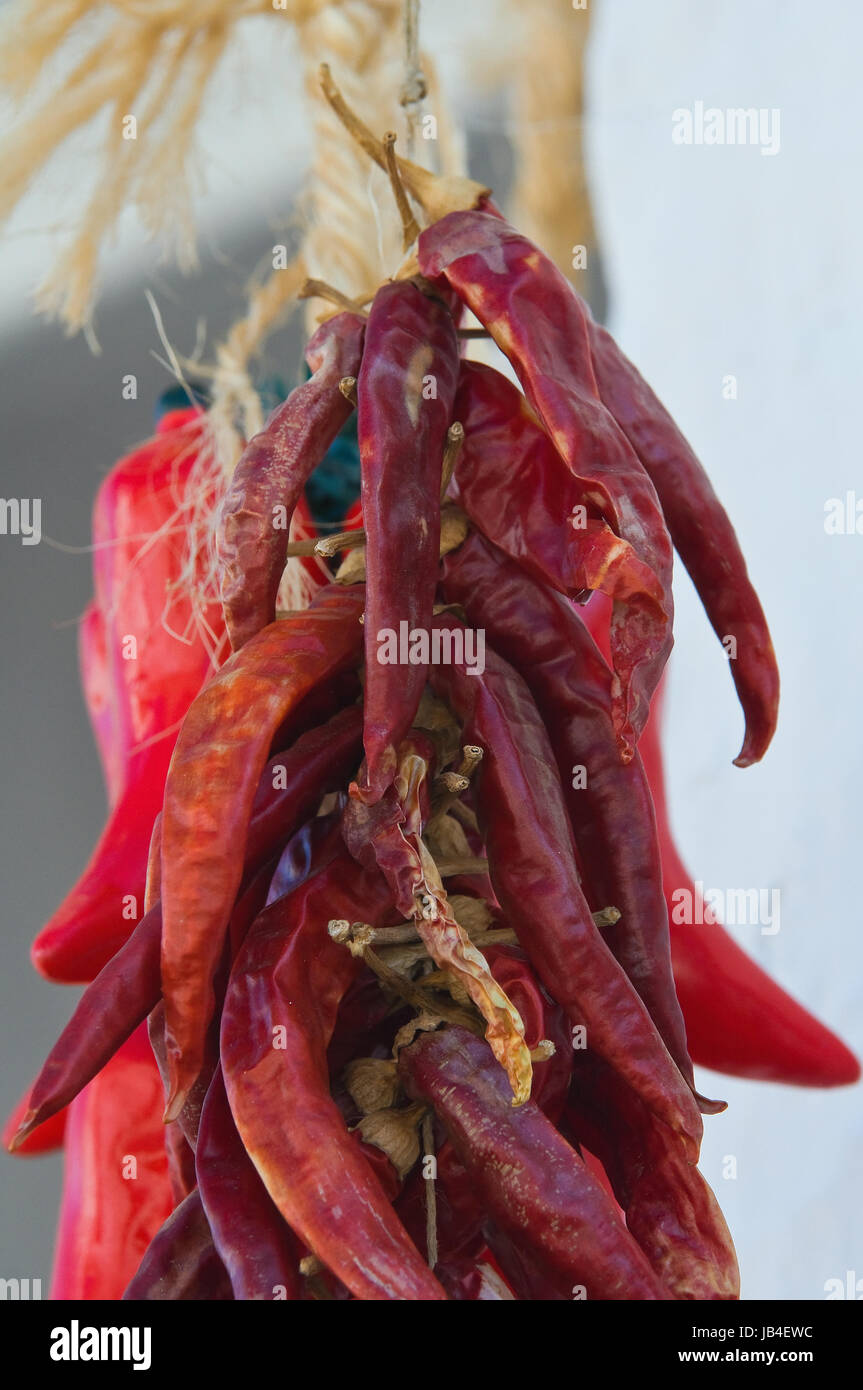 Red Chili Peppers hanging outdoor Stock Photo - Alamy