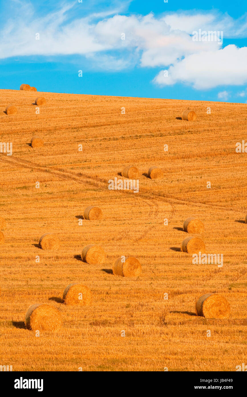 field with bales of hay, blue sky, bohemia, czech republic Stock Photo ...