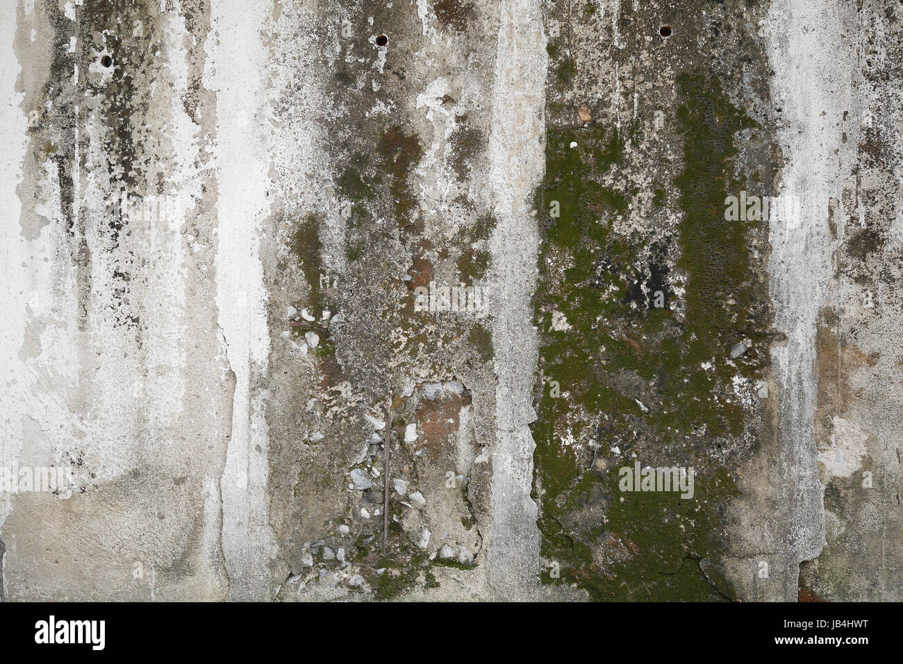 concrete wall with grunge texture and moss green algae , texture ...