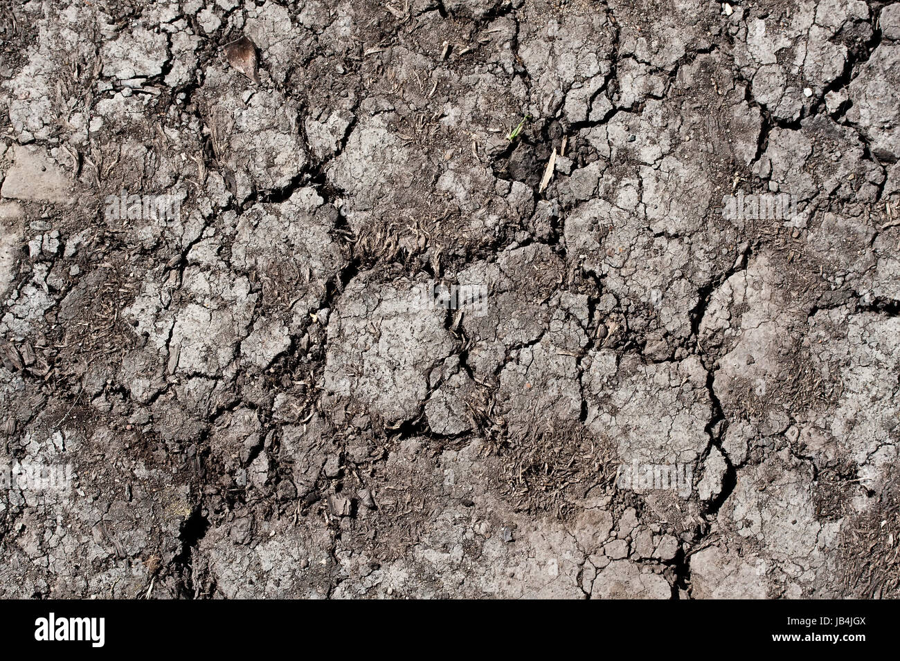 Land with dry cracked ground texture background Stock Photo - Alamy