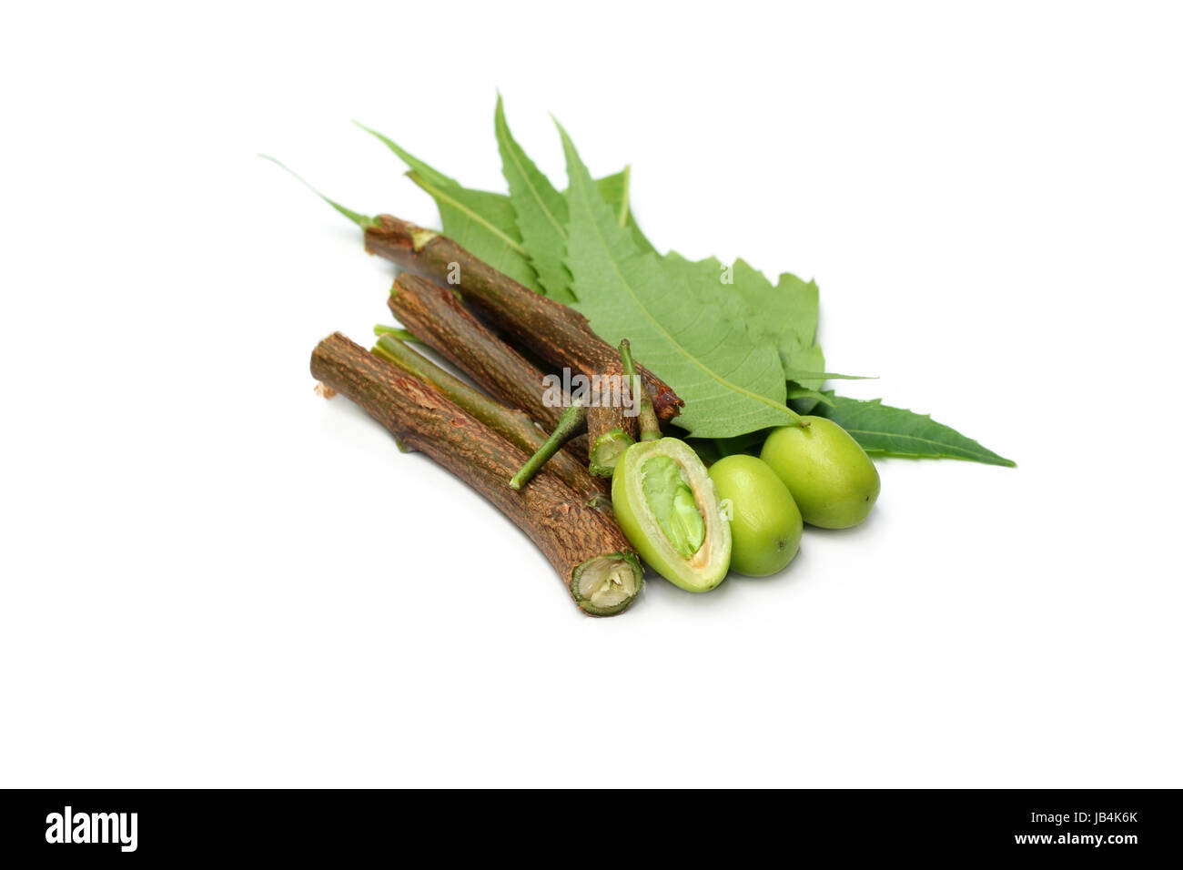 Medicinal neem leaves,fruit and branch Stock Photo - Alamy
