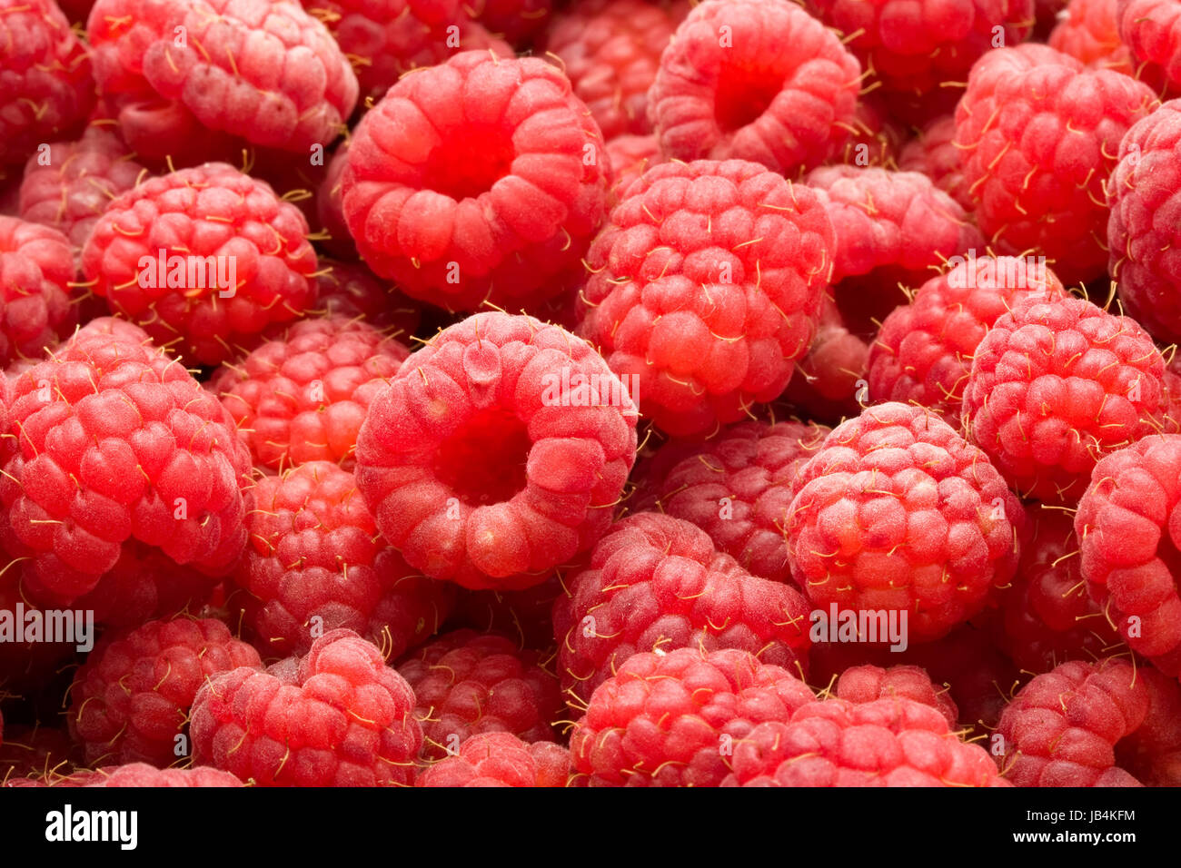Many fresh red raspberries making beautiful background Stock Photo - Alamy