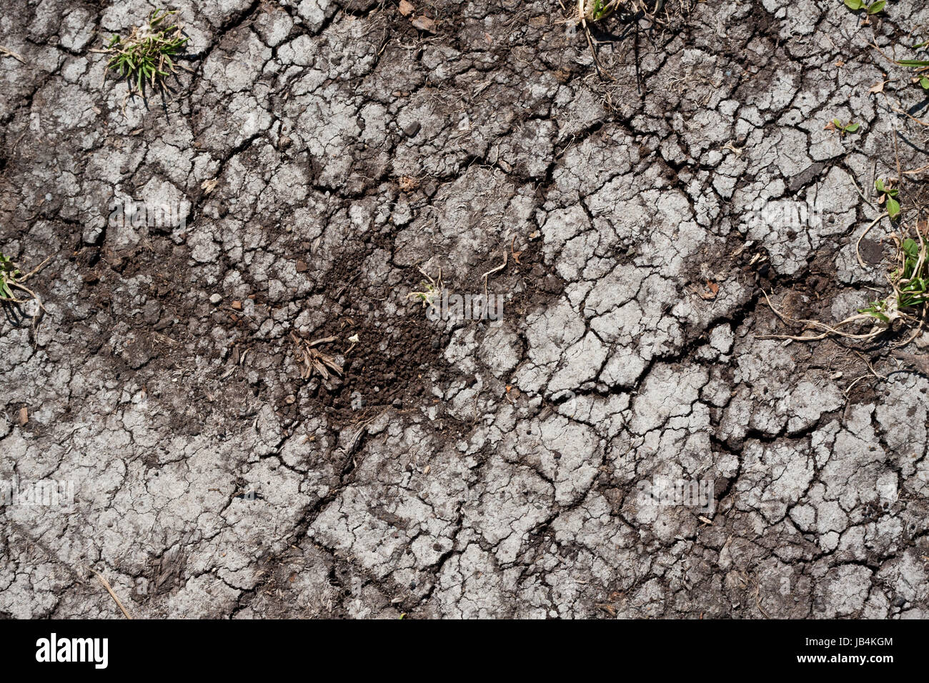 Land with dry cracked ground texture background Stock Photo - Alamy