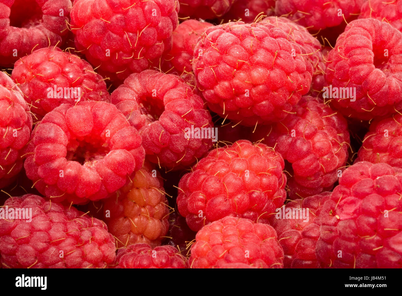 Many fresh red raspberries making beautiful background Stock Photo - Alamy