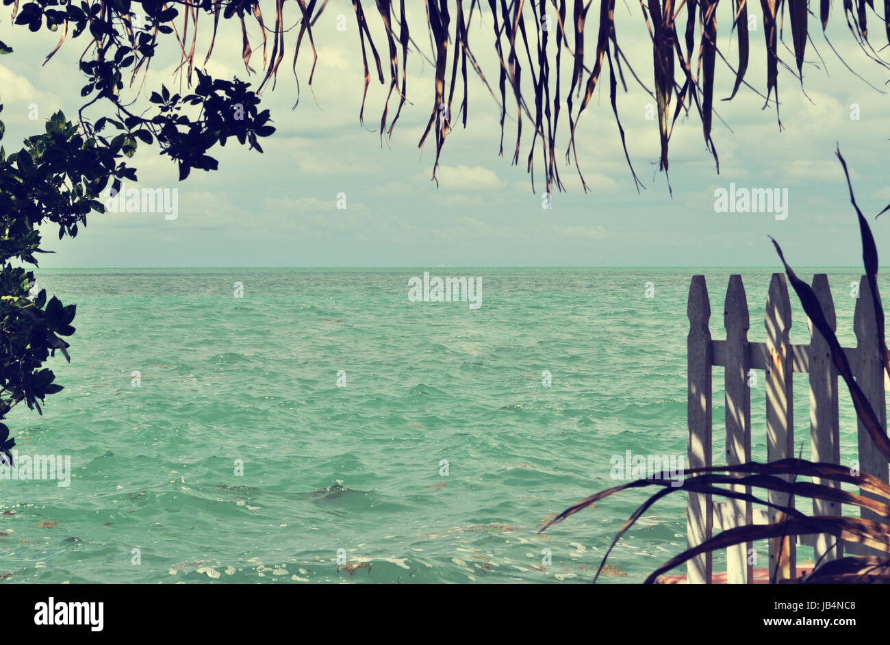 through the hedge Stock Photo - Alamy