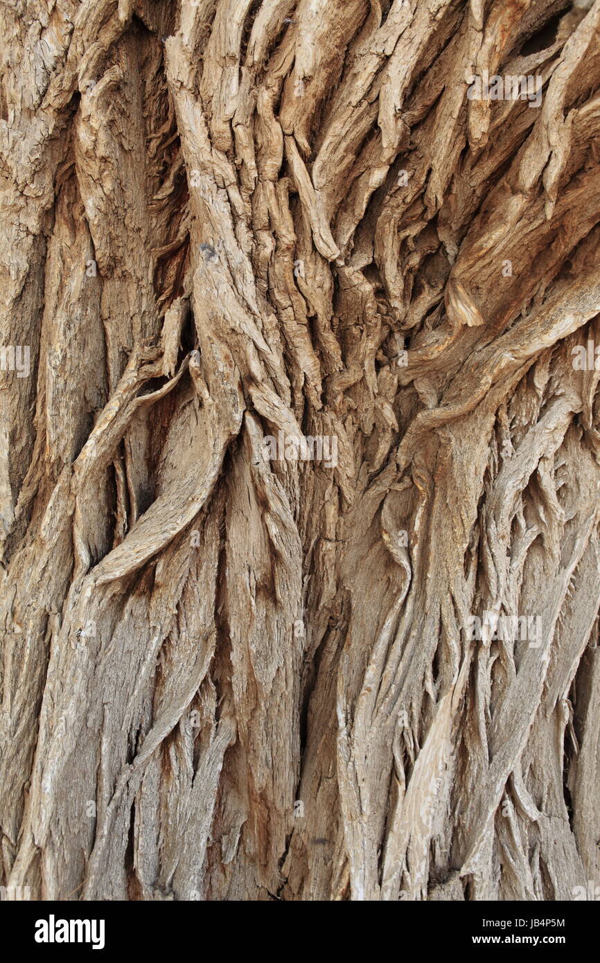 Structure fiber hi-res stock photography and images - Alamy