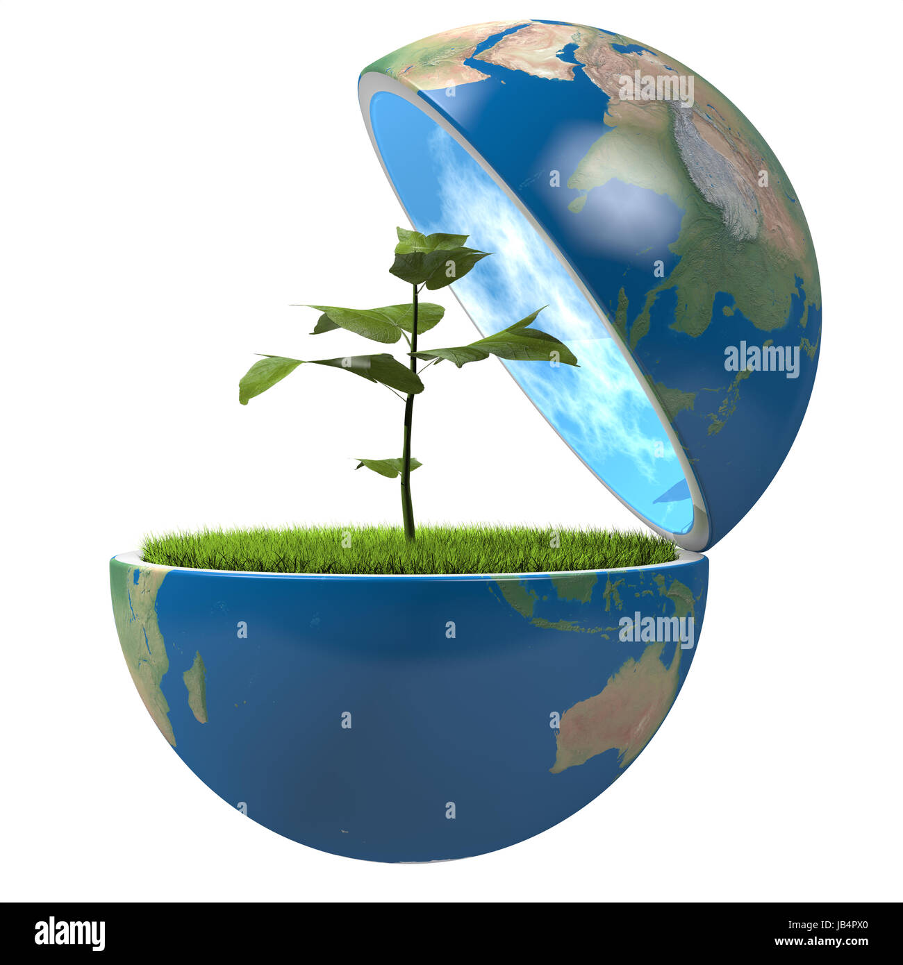 Small plant growing inside opened planet Earth, isolated on white ...