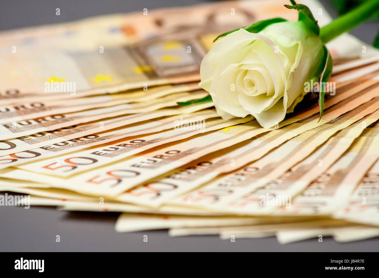 money bills with white rose Stock Photo - Alamy