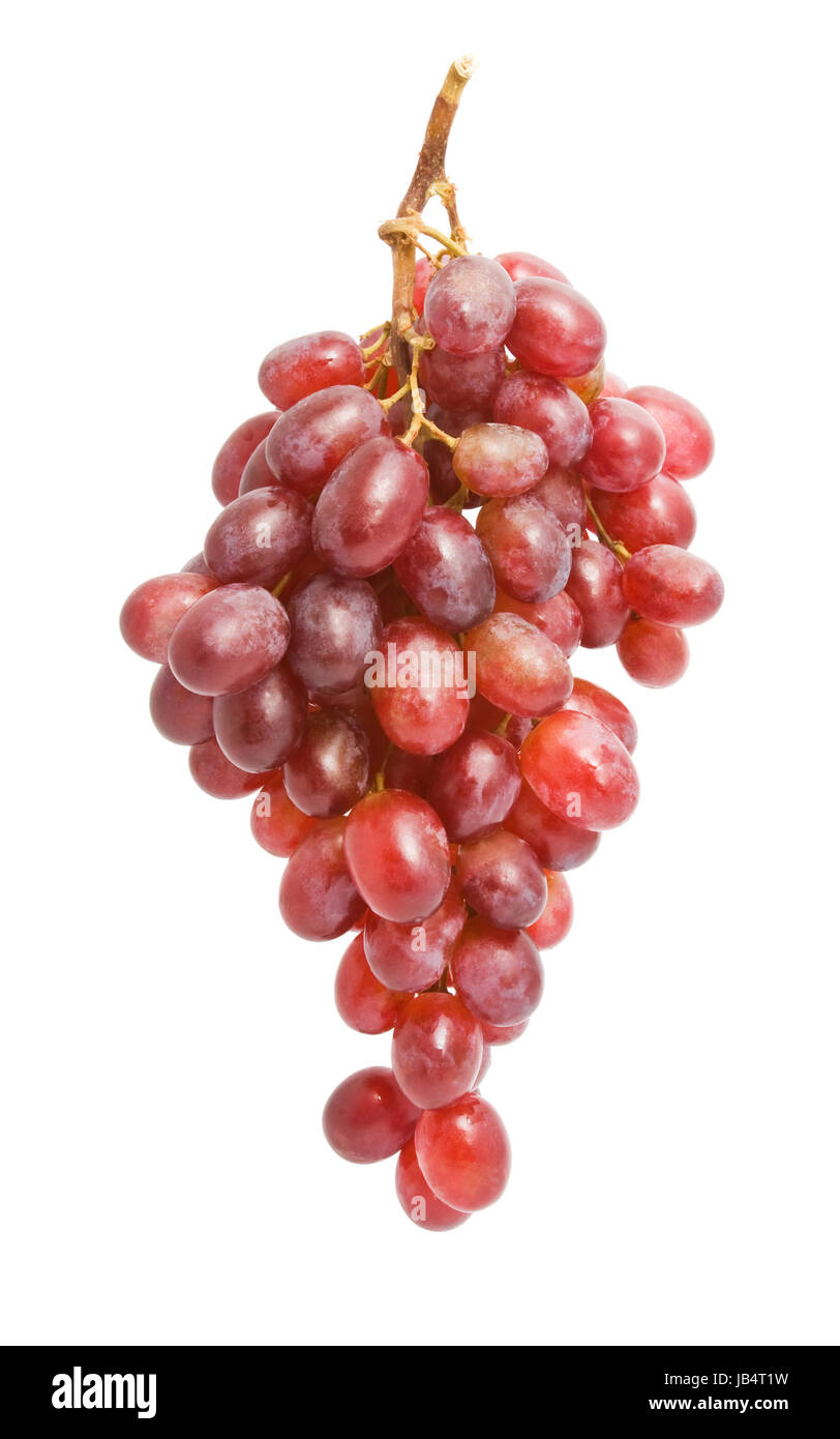 Branch of grapes isolated on white background Stock Photo - Alamy