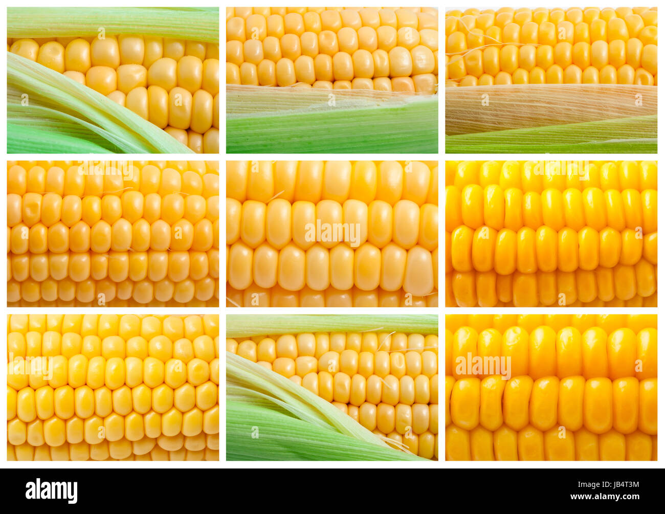 Collection of yellow corn Stock Photo - Alamy
