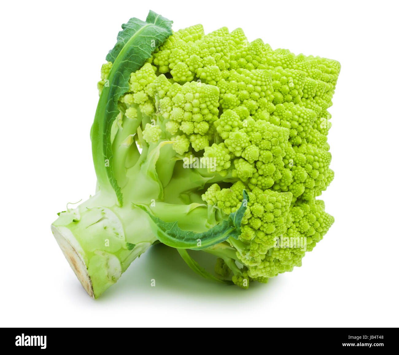 Green Romanesco broccoli isolated on white background Stock Photo - Alamy