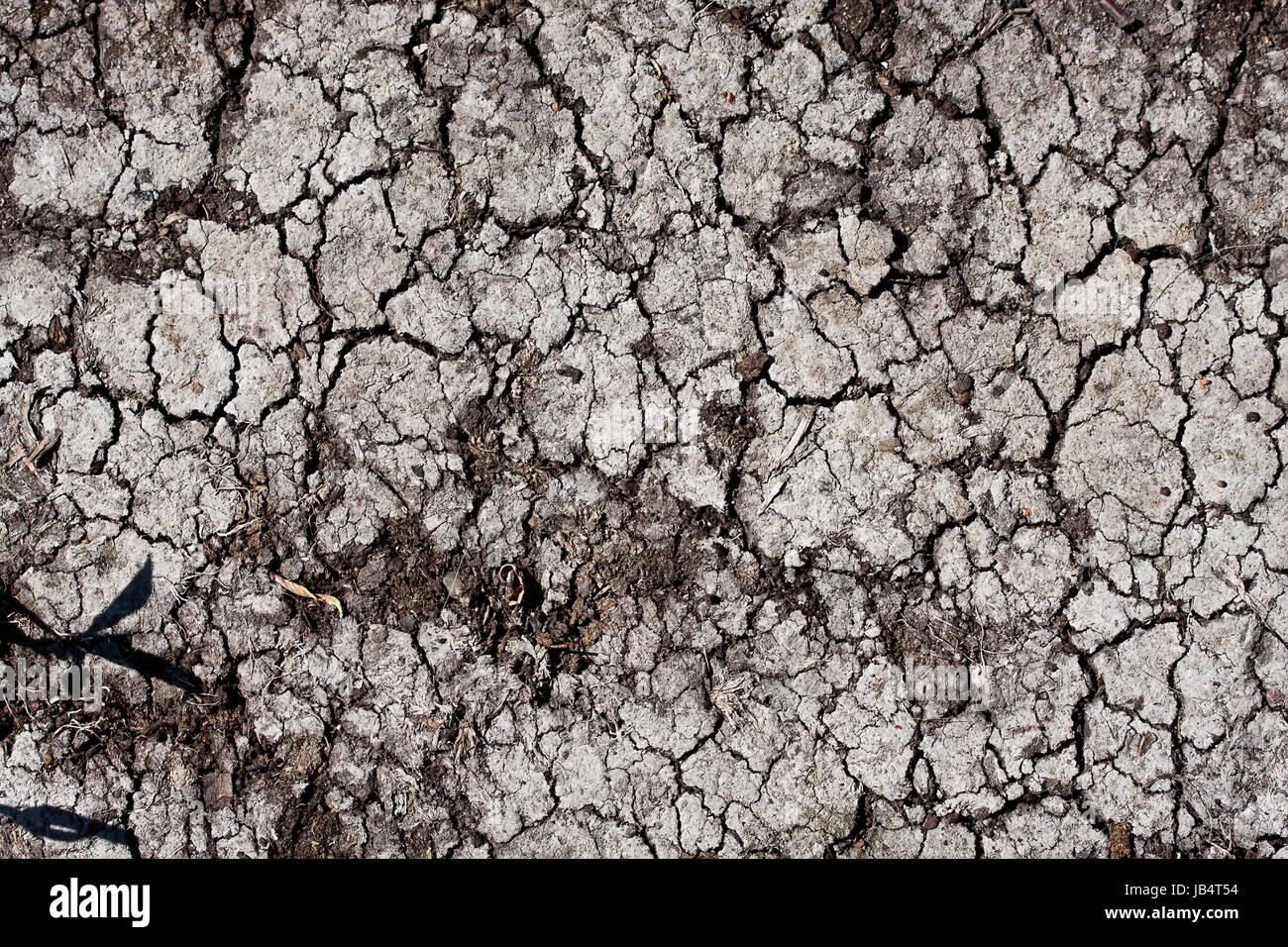 Land with dry cracked ground texture background Stock Photo - Alamy