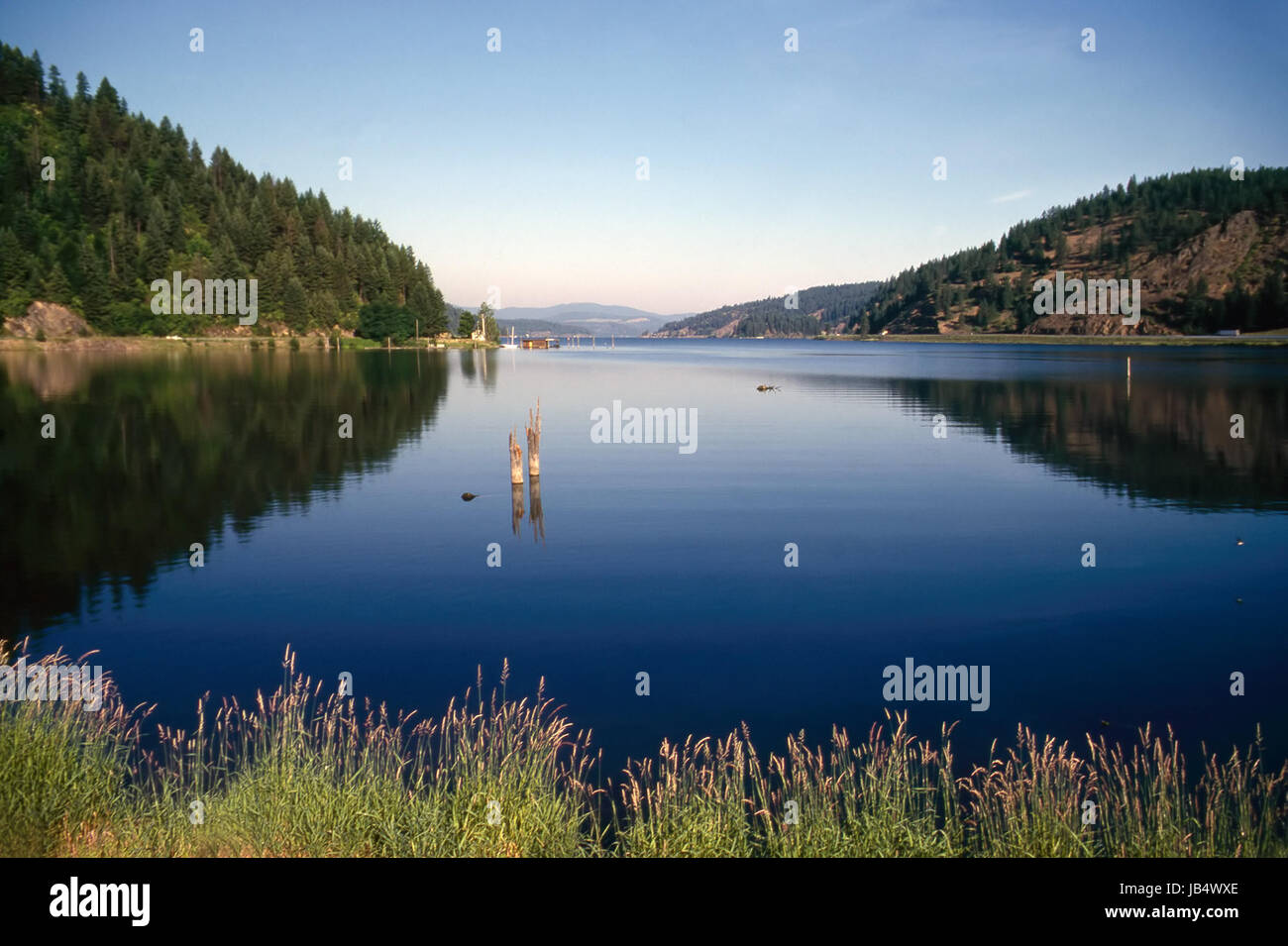 Calm lake by forest and field Stock Photo - Alamy