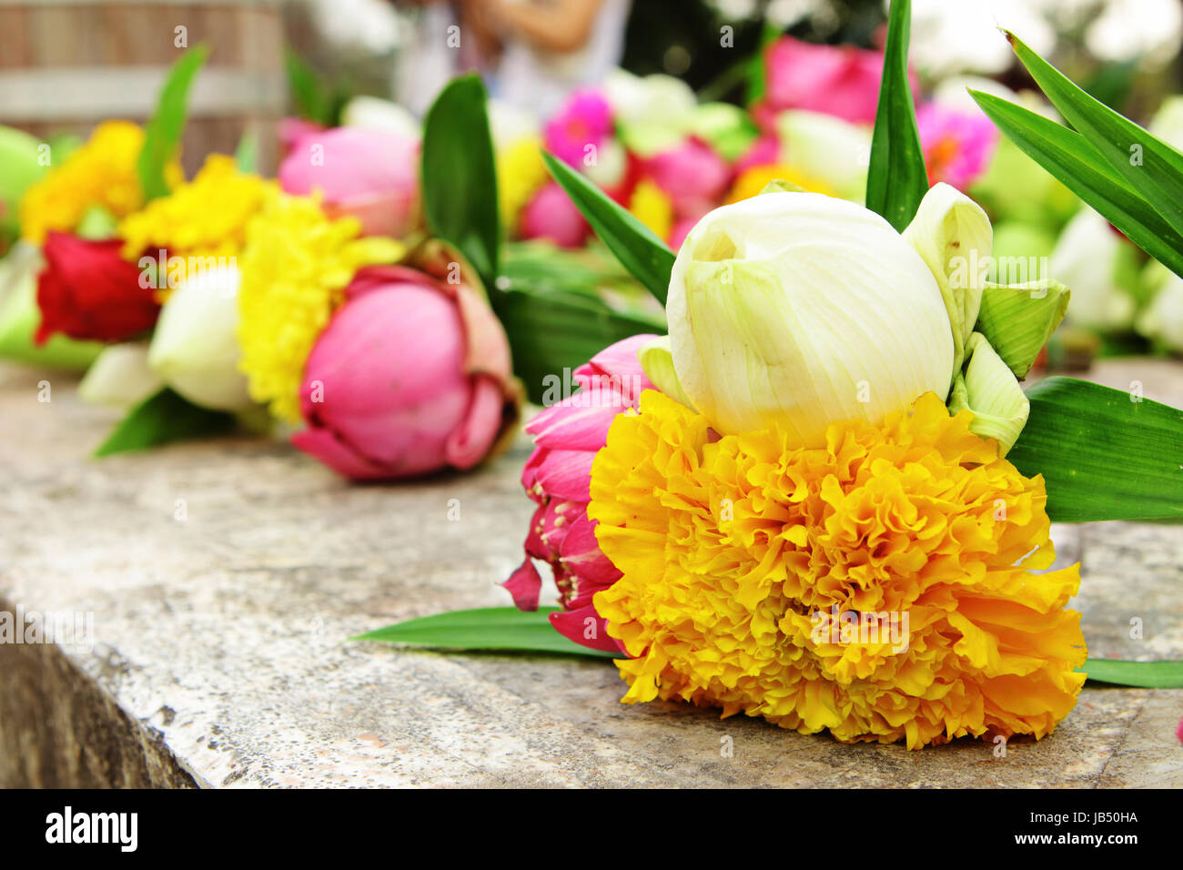 Lotus flower for worship in Thailand temple Stock Photo - Alamy