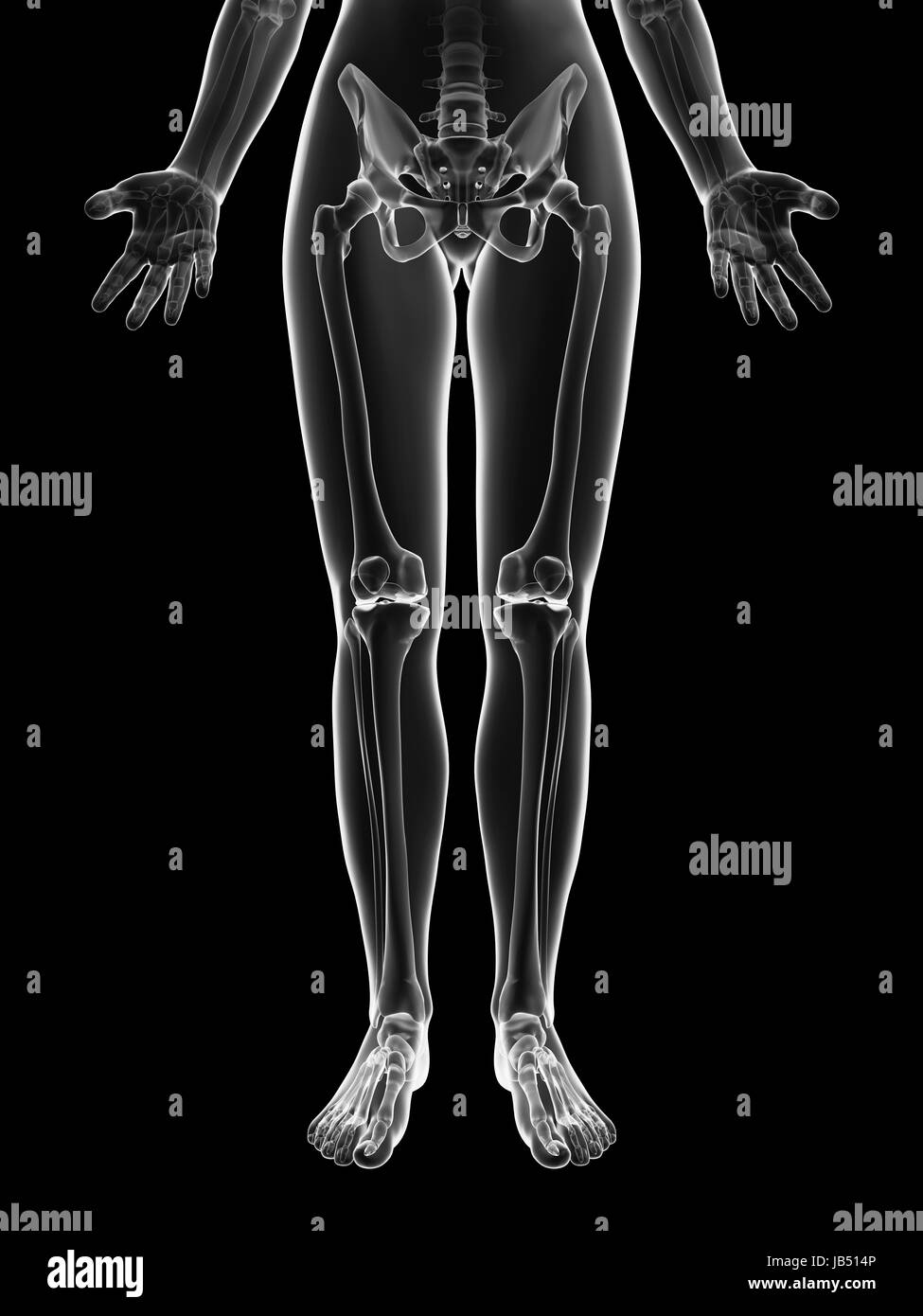 Glass leg Black and White Stock Photos & Images - Alamy