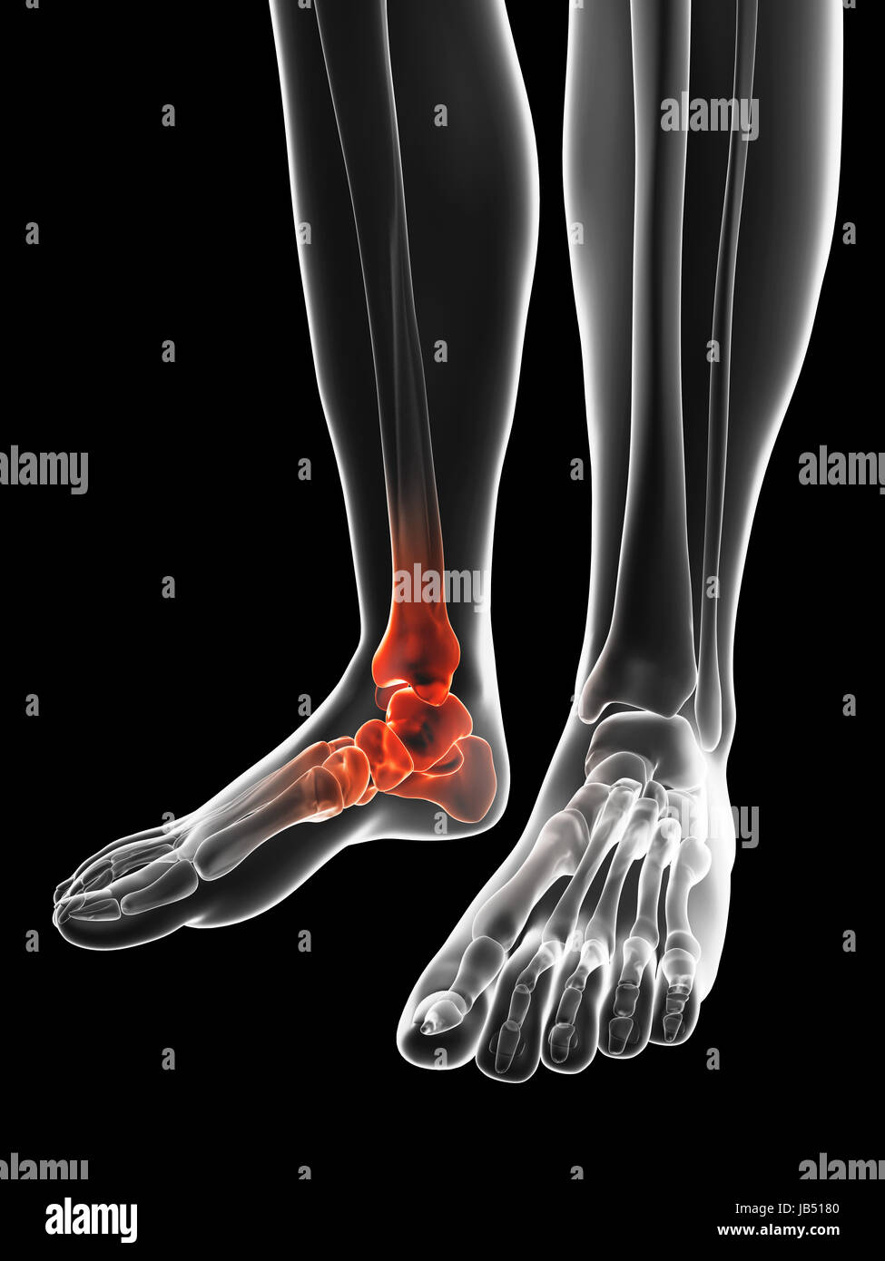 Normal ankle hi-res stock photography and images - Alamy