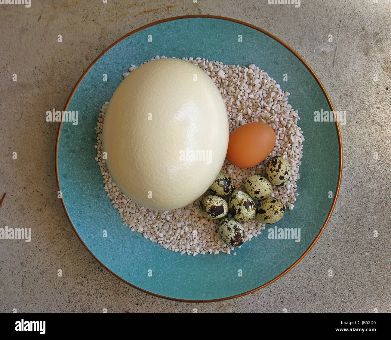 decoration with eggs Stock Photo - Alamy