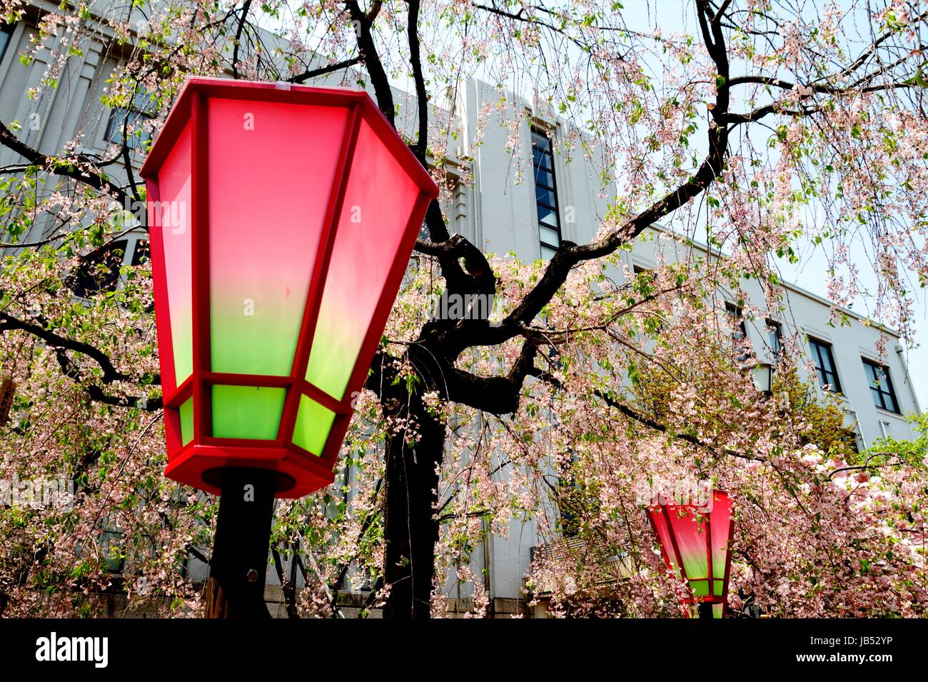 Plant splat hi-res stock photography and images - Alamy