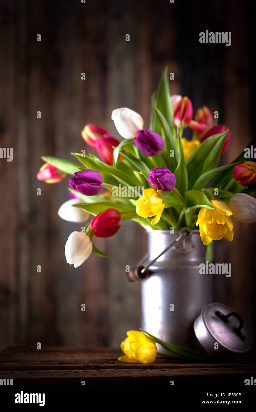 tulips in a rustic tin can Stock Photo - Alamy