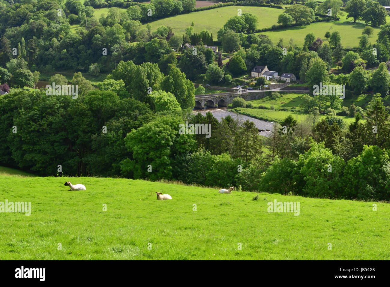 The bridge at the village of Inistioge in Summertime Stock Photo - Alamy