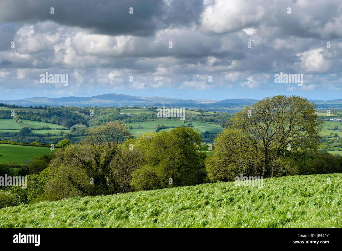 Preseli mountains farming hi-res stock photography and images - Alamy