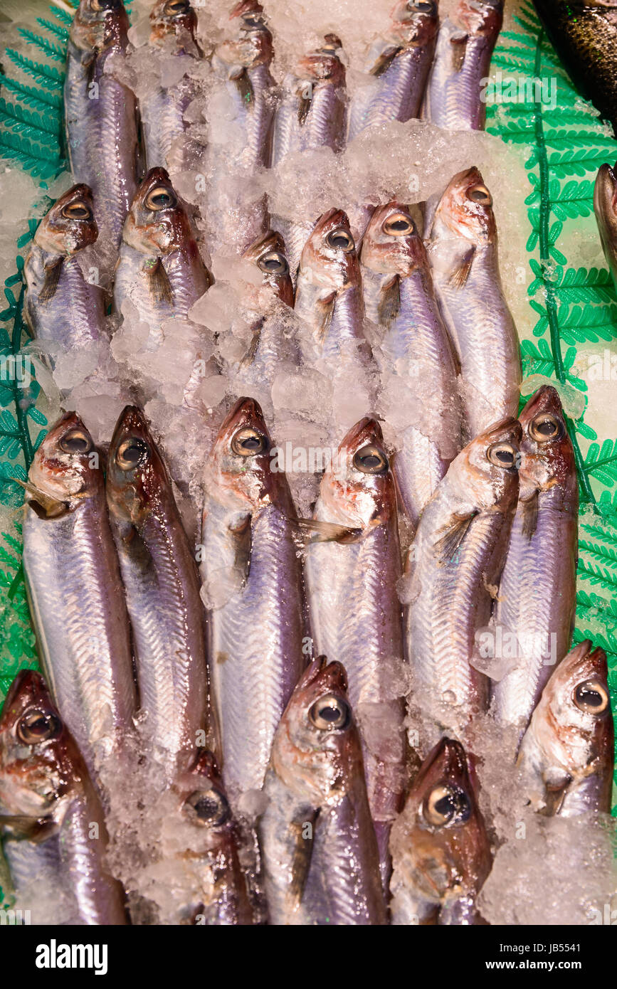 Pescadilla de rosca hi-res stock photography and images - Alamy