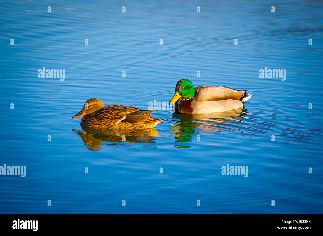 Peasant pair hi-res stock photography and images - Alamy