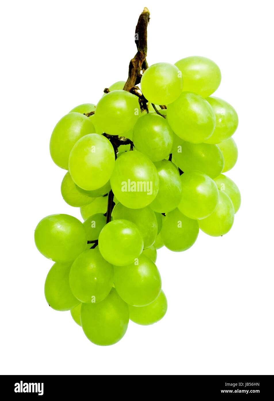Branch of grapes isolated on white background Stock Photo - Alamy