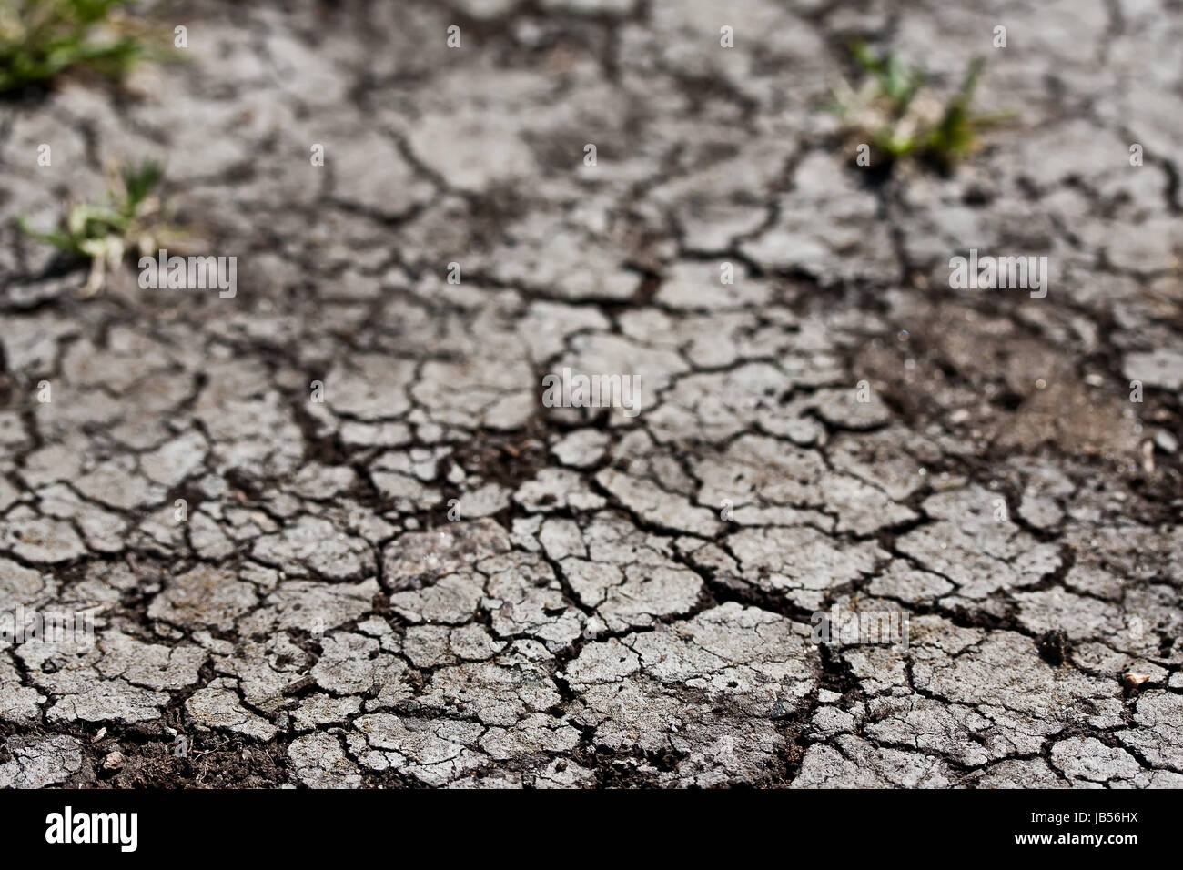 Land with dry cracked ground texture background Stock Photo - Alamy