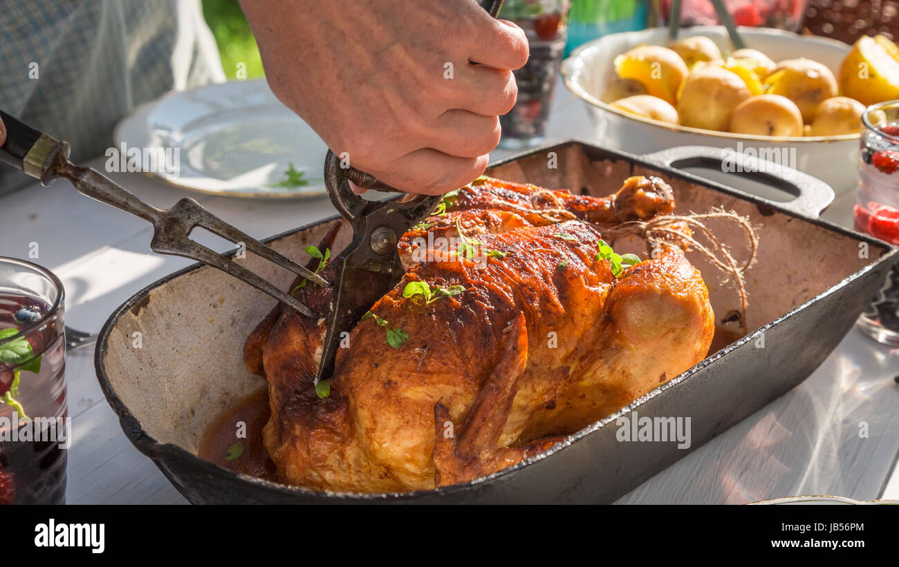 Cutting chicken for dinner in summer garden Stock Photo - Alamy